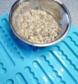 Pansen-Stangerl - Ernährungsberatung für Hunde und Katzen